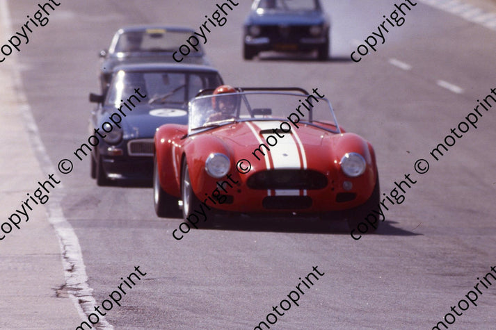1981 9 hr historic race 41 David Cohen AC Cobra (courtesy Roger Swan ...